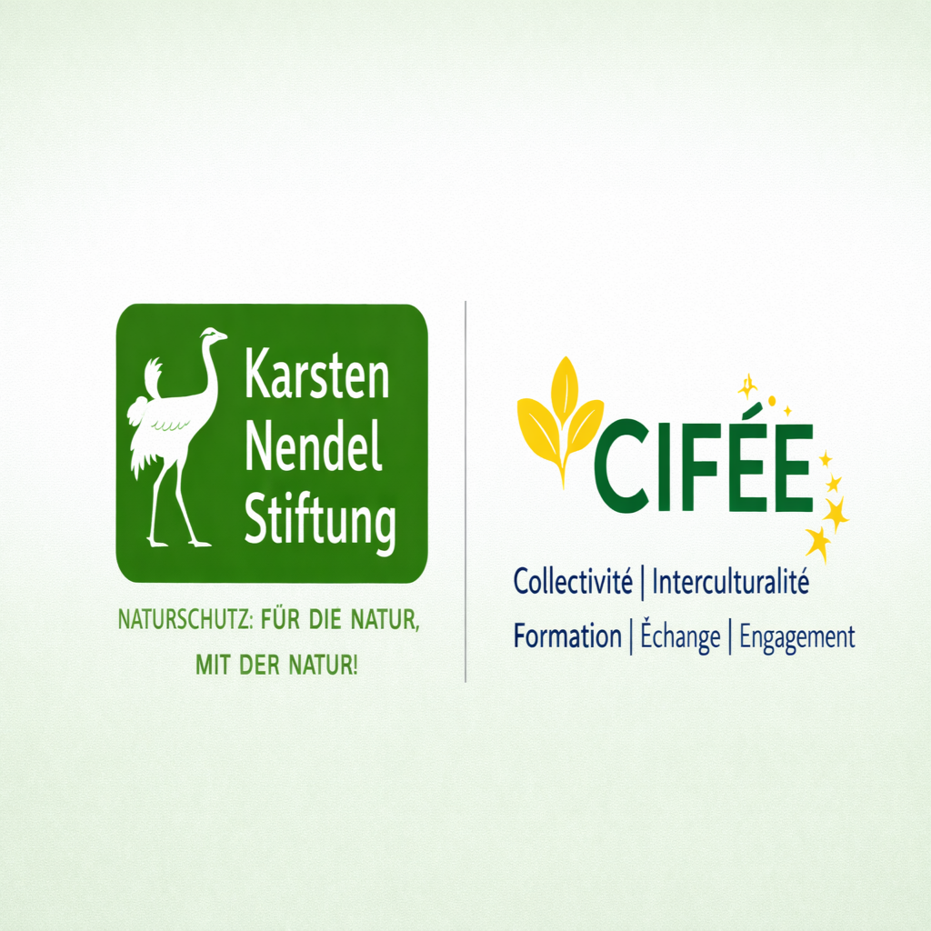 VEFA - Karsten-Nendel-Stiftung
